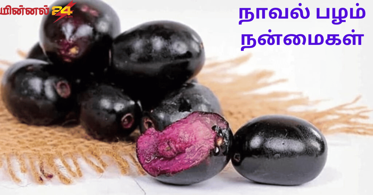 நாவல் பழம் நன்மைகள், Naval Palam Benefits In Tamil